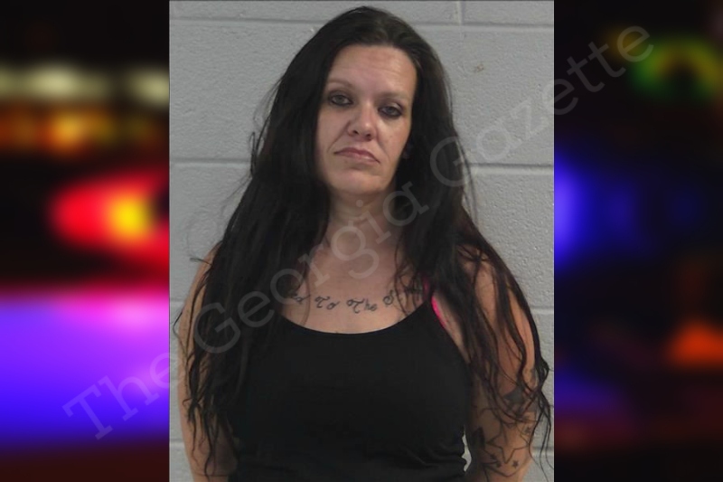 Kelly Wright — Gilmer County Jail Bookings