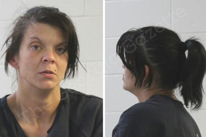 Layla Windham-Newby — Houston County Jail Bookings