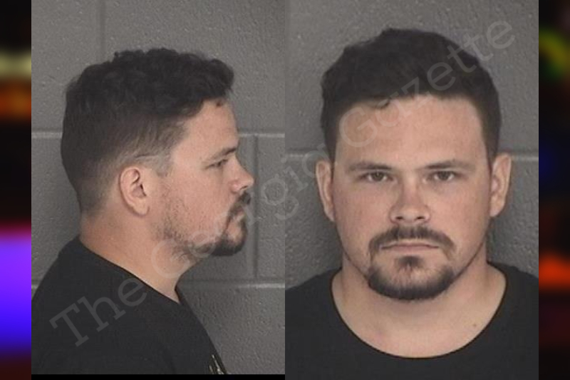 Brett Wise — Barrow County Jail Bookings