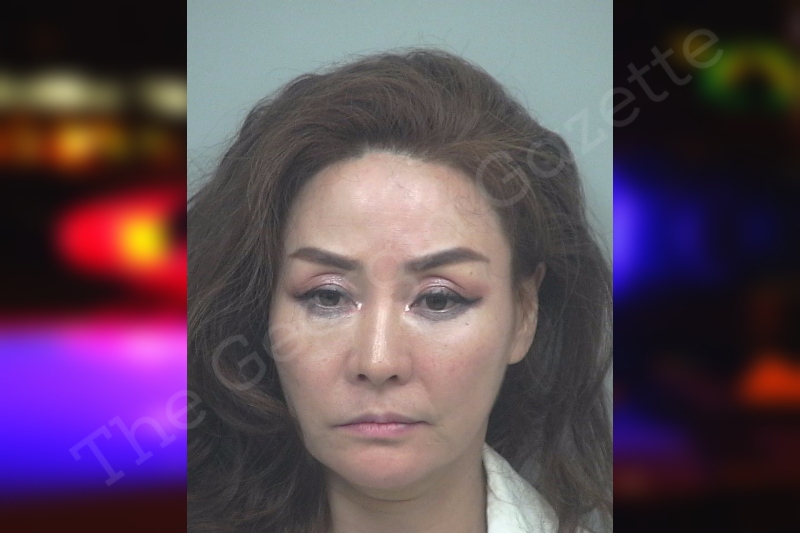 Ok Yi — Gwinnett County Jail Bookings