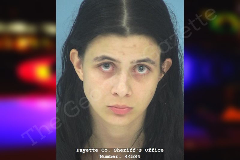 Payton Abraham — Fayette County Jail Bookings