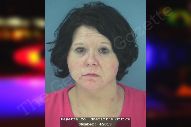 Rachel Akins — Fayette County Jail Bookings