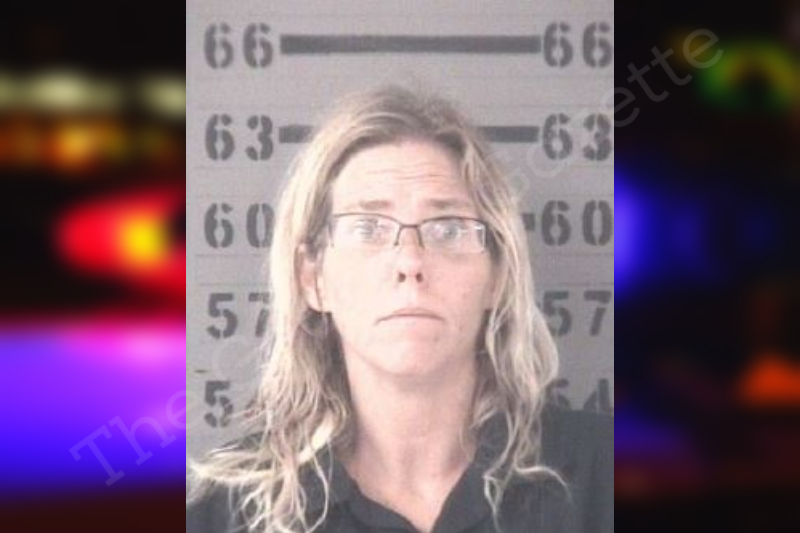 Melissa Anglin — Dougherty County Jail Bookings