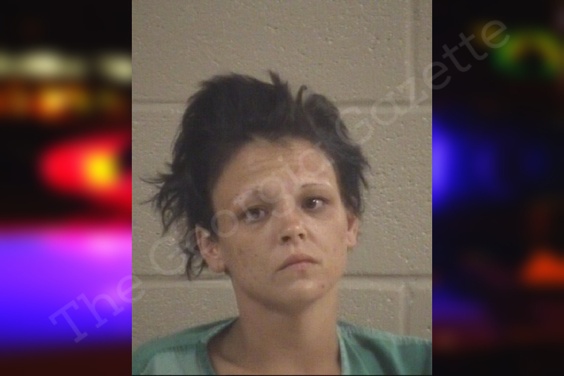 Amber Thomas — Whitfield County Jail Bookings