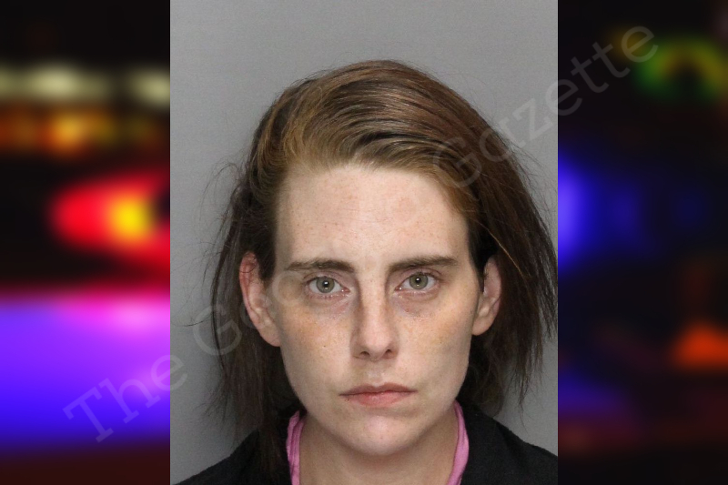 Ashley Beaver — Cobb County Jail Bookings