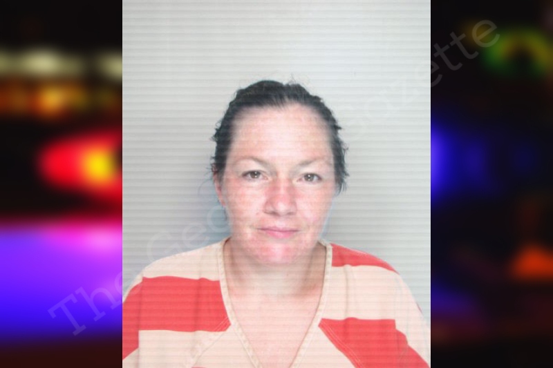 Nancy Bennett Cleveland — Hall County Jail Bookings