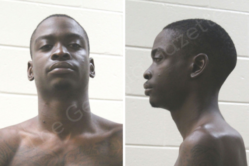 Christian Collier — Houston County Jail Bookings