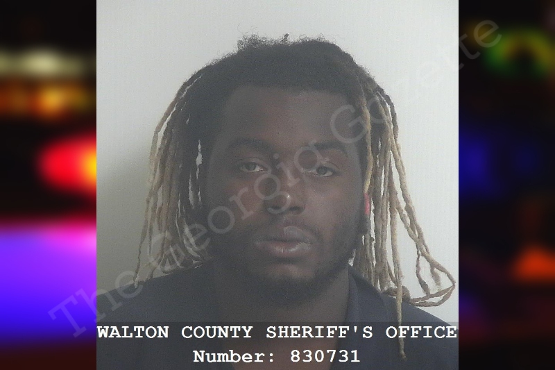 Owen Daley — Walton County Jail Bookings