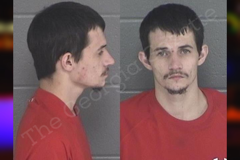 Joseph Dicarlo — Barrow County Jail Bookings