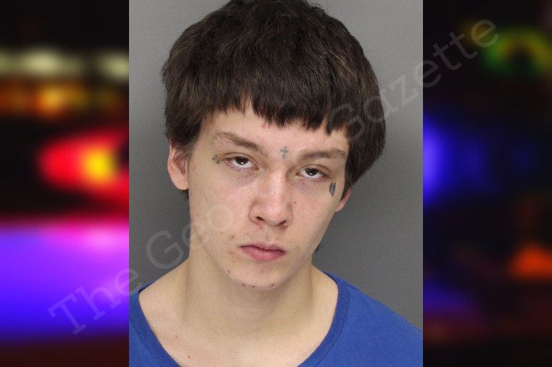 Dylan Hankins — Cobb County Jail Bookings