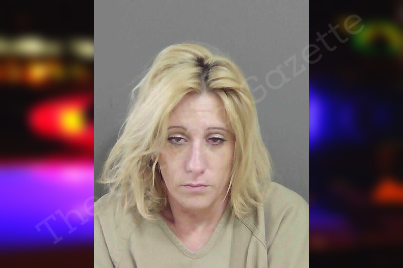 Shayna Gibbs — Gordon County Jail Bookings