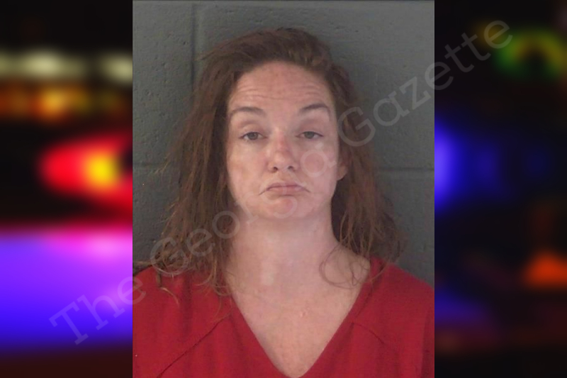 Amanda Goins — Newton County Jail Bookings