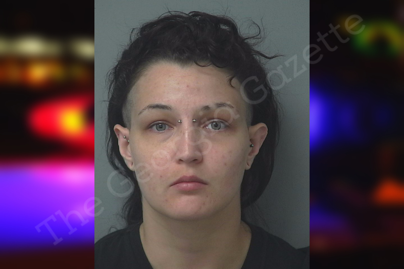 Kaitlin Gordon — Gwinnett County Jail Bookings