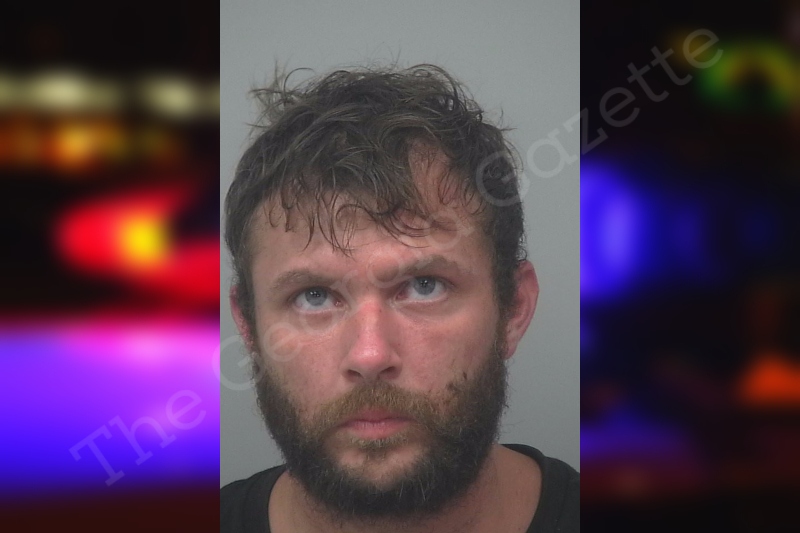 Addison Gropp — Gwinnett County Jail Bookings