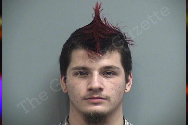 Joshua Head — Effingham County Jail Bookings