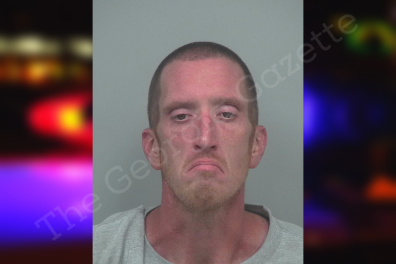 Alexander Howell — Gwinnett County Jail Bookings