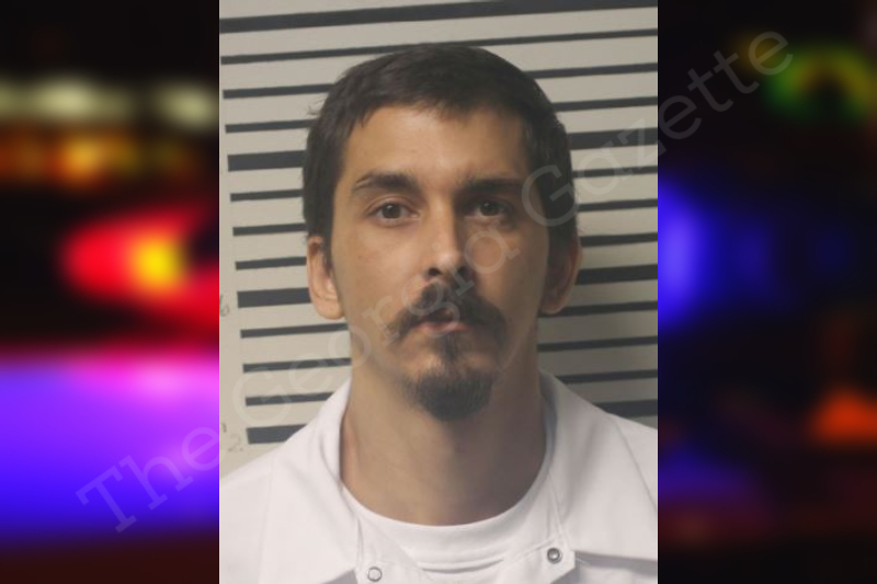 Jeremy Helmer — Toombs County Jail Bookings