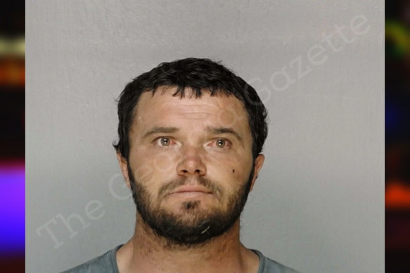 Joshua Emerson — Bibb County Jail Bookings