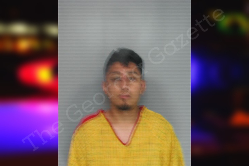 Michael Loera‐Garcia — Hall County Jail Bookings