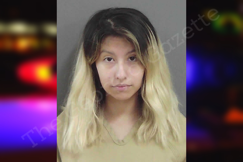 Kayla Lopez — Gordon County Jail Bookings