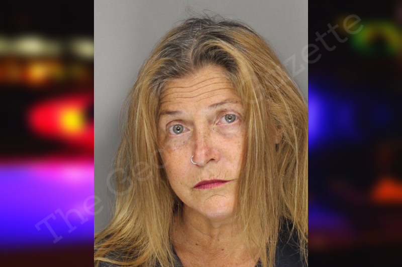 Lexanne Ferrell — Cobb County Jail Bookings