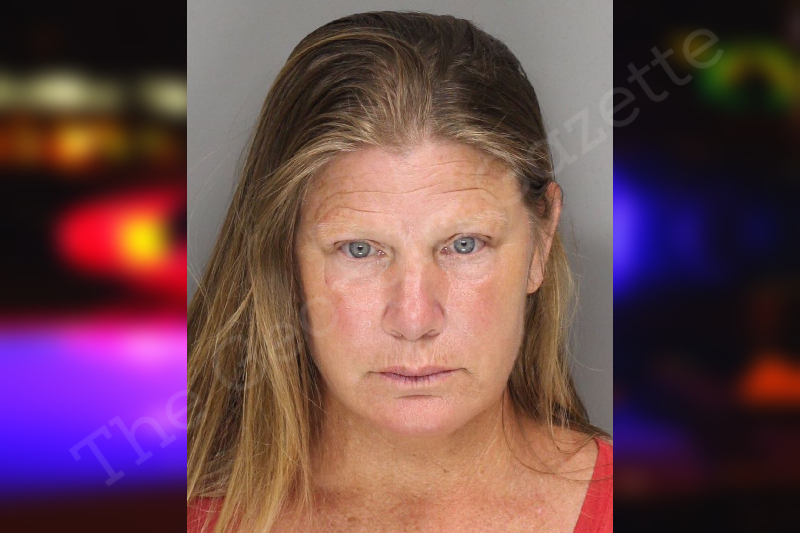 Lisa Robichaud — Cobb County Jail Bookings