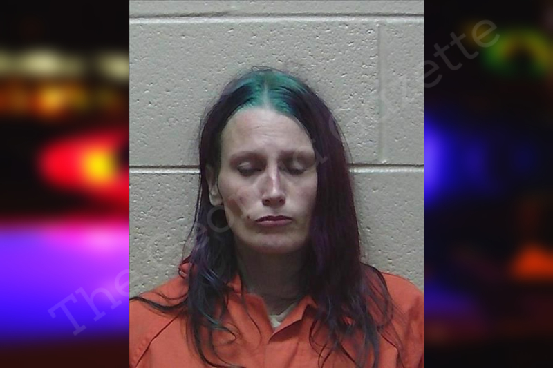 Patricia Madden — Haralson County Jail Bookings