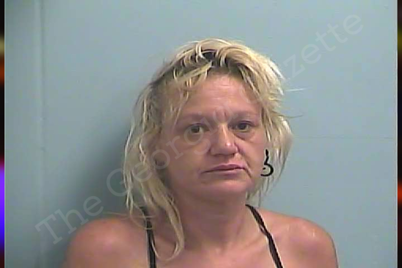 Miranda Masters — Dawson County Jail Bookings