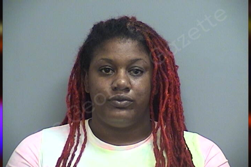 Ericka Mitchell — Effingham County Jail Bookings