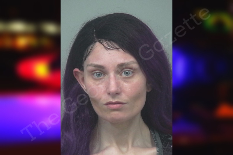 Kimberly Mosley — Gwinnett County Jail Bookings