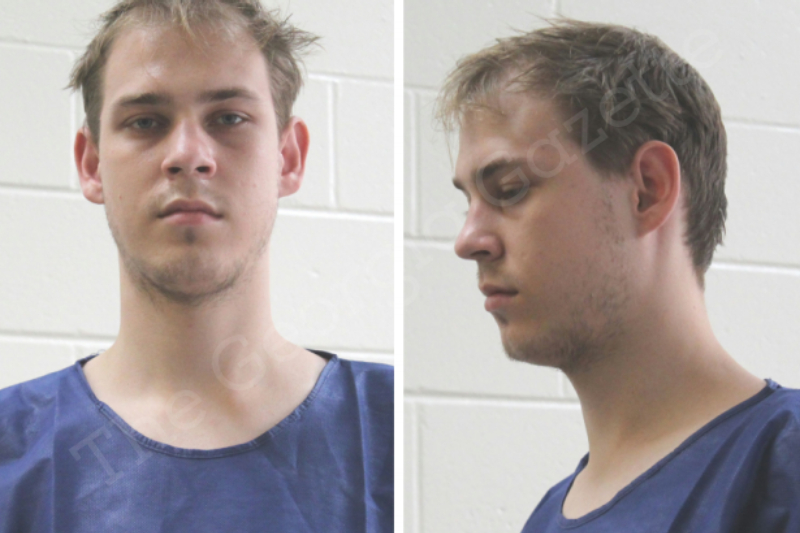 Austin Mooney — Houston County Jail Bookings