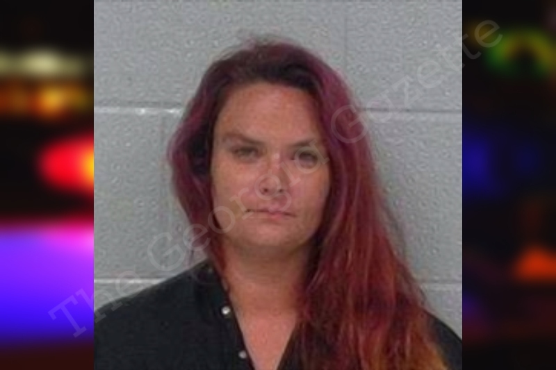 Brittany Ramey — Carroll County Jail Bookings