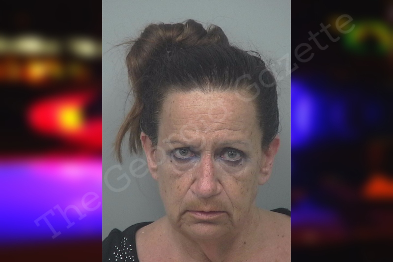 Cynthia Rudell — Gwinnett County Jail Bookings
