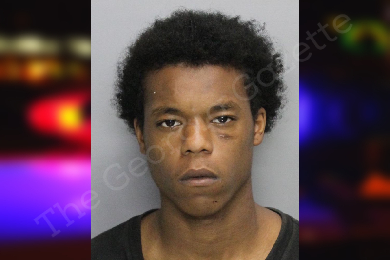 Robert White — Cobb County Jail Bookings