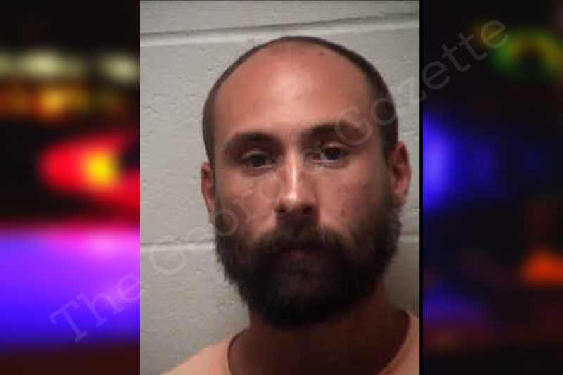 Hunter Rowe - Henry County Jail Bookings