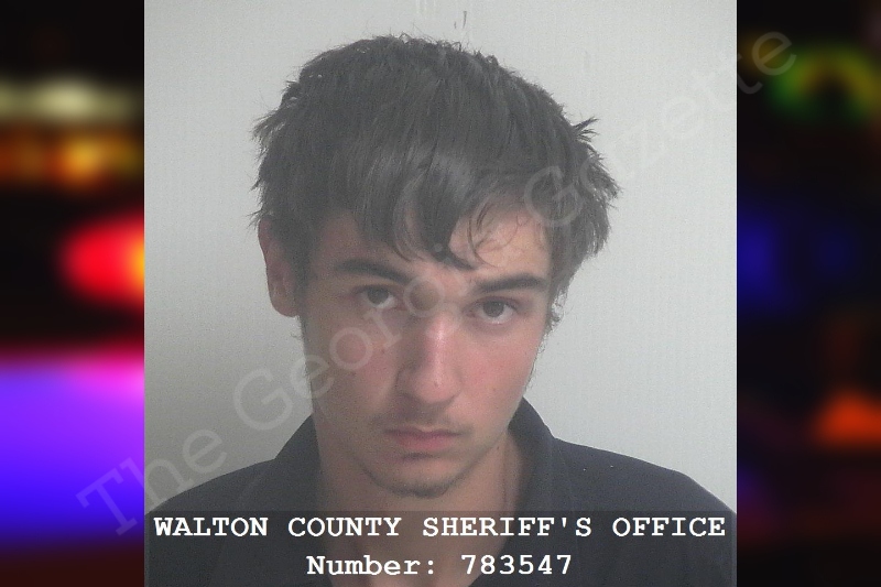 Dylan Smith — Walton County Jail Bookings