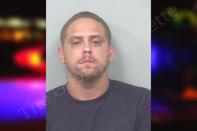 Michael Solo — Gwinnett County Jail Bookings