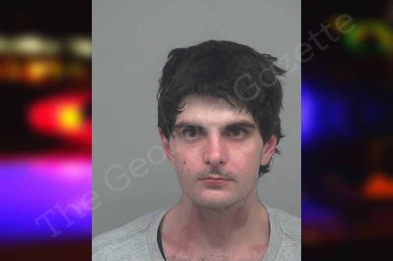 Morgan Staton — Gwinnett County Jail Bookings