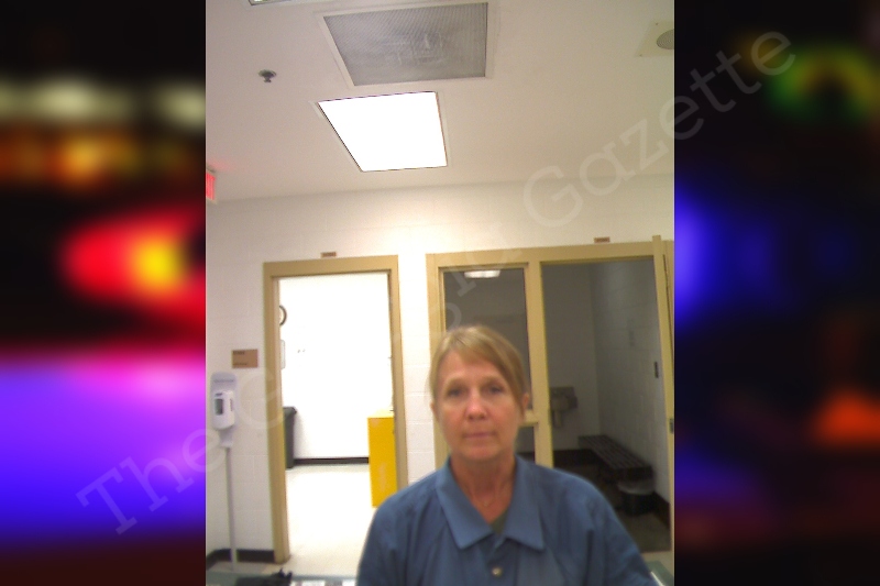 Michelle Stitt | Gwinnett County