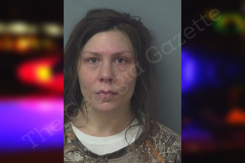 Trudy Taddei — Gwinnett County Jail Bookings