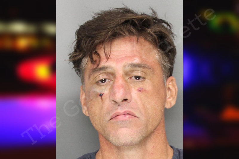 Tracey Esteppe — Cobb County Jail Bookings