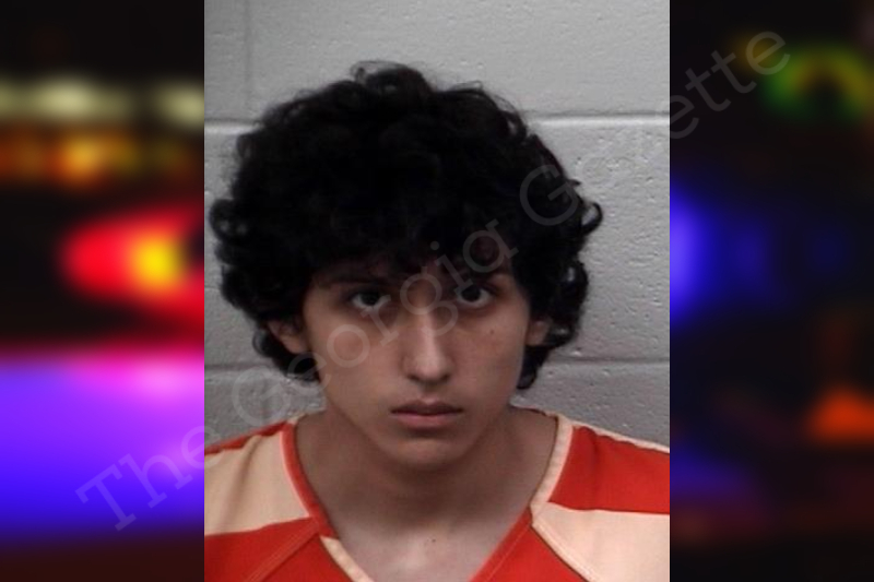 Justin Vela — Paulding County Jail Bookings