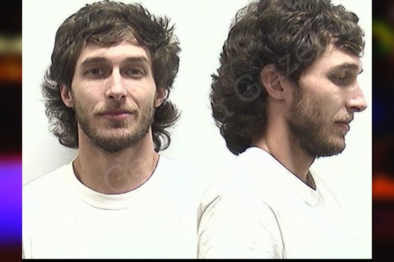 William Vining — Clarke County Jail Bookings