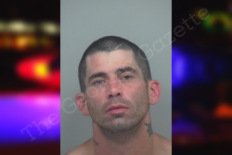 Derek Wiggins — Gwinnett County Jail Bookings