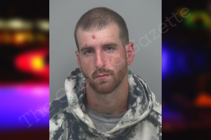 Dylan Williams — Gwinnett County Jail Bookings