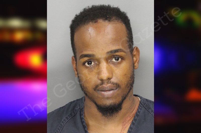 Arrin Nolen — Cobb County Jail Bookings