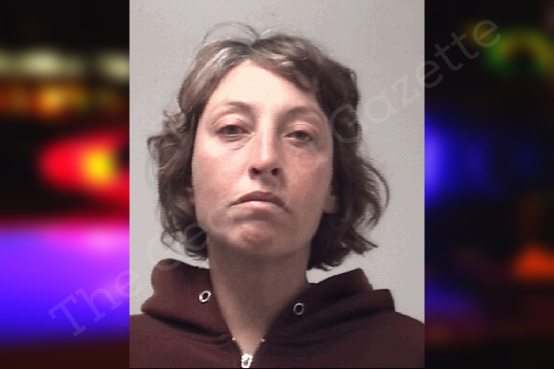 Misty Brewster — Coweta County Jail Bookings
