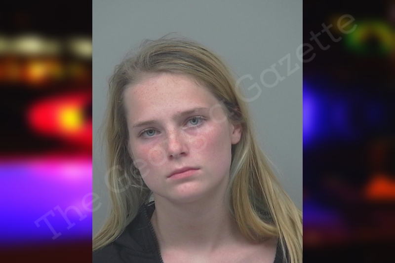 Cameron Burgess — Gwinnett County Jail Bookings