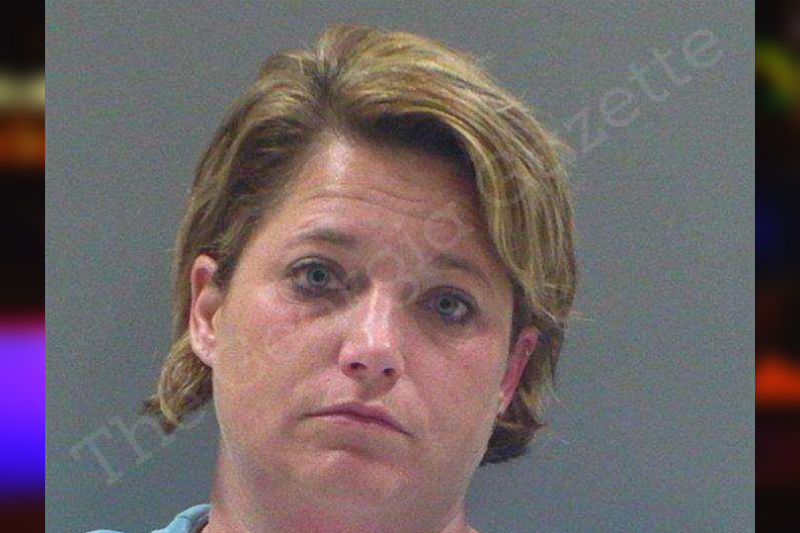 Brenda Camp — Rabun County Jail Bookings