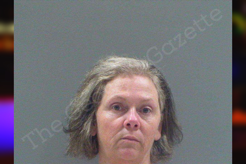 Jane Carter — Rabun County Jail Bookings
